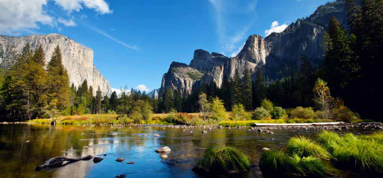 Trips – Trippin With Michelle